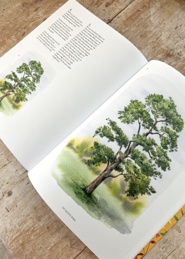 de Winton Paper Co | Unique Watercolour Art & Tutorials | A Year of ...