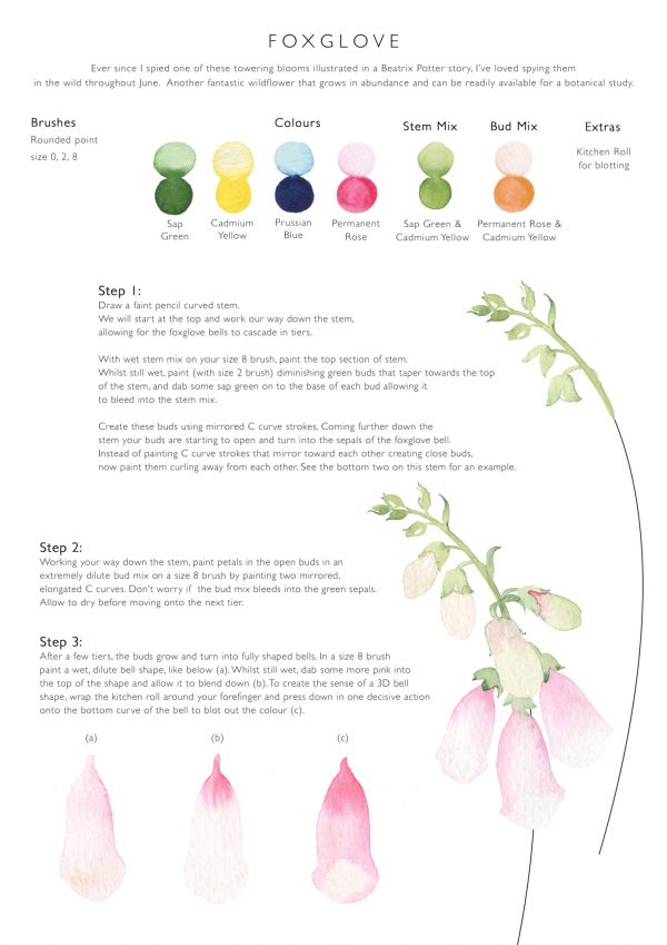 de Winton Paper Co | Unique Watercolour Art & Tutorials | Watercolour Foxglove Tutorial PDF - de ...
