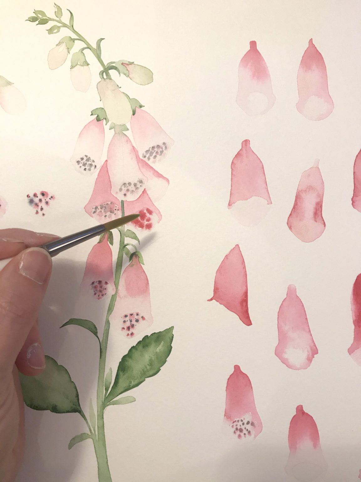de Winton Paper Co | Unique Watercolour Art & Tutorials | Watercolour ...