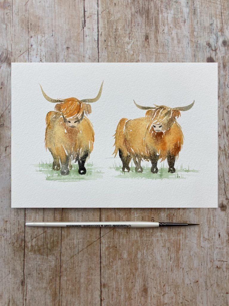 How To Paint Watercolour Highland Cow at Caitlyn Lavater blog