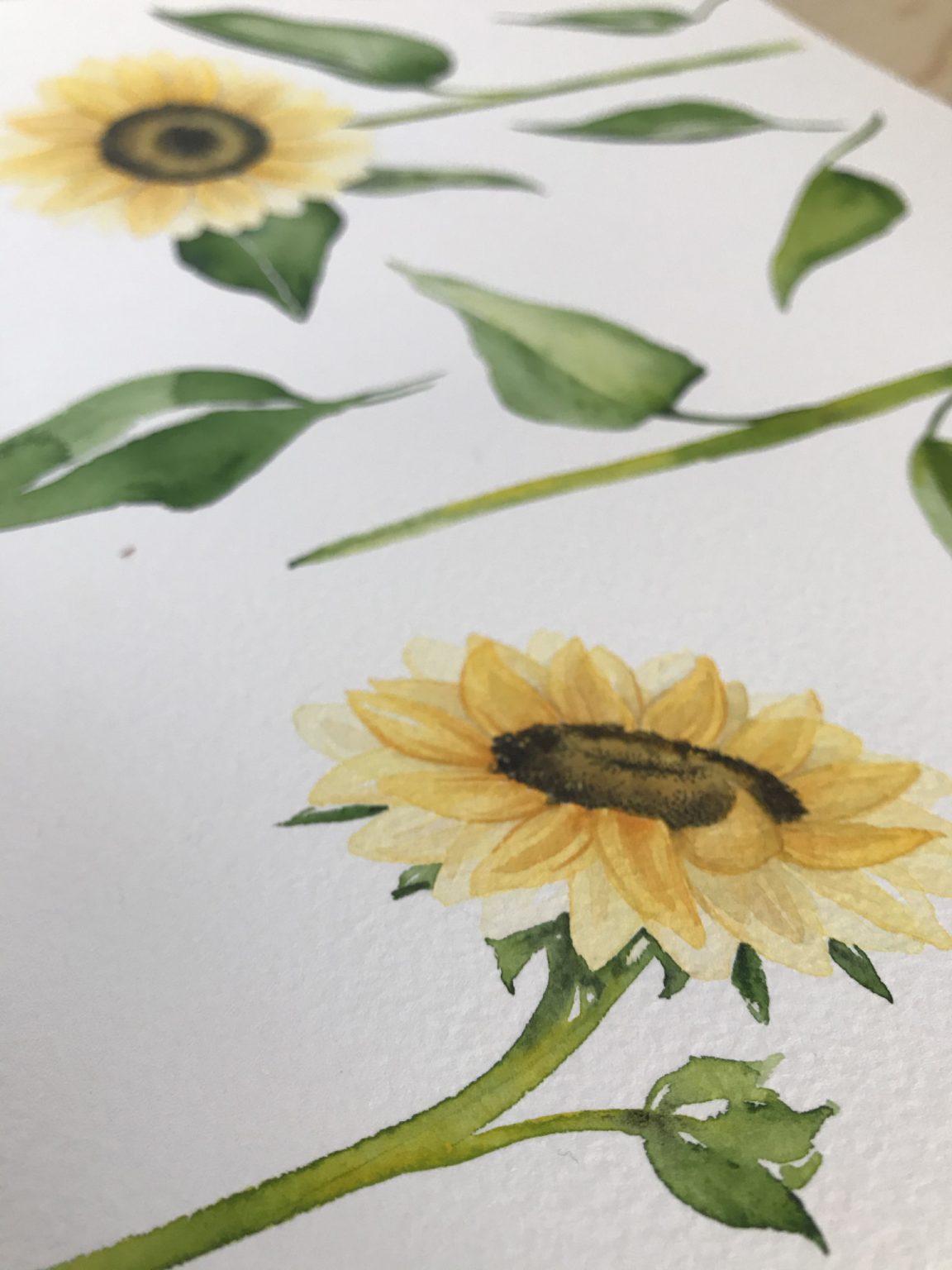 de Winton Paper Co | Unique Watercolour Art & Tutorials | Learn to ...